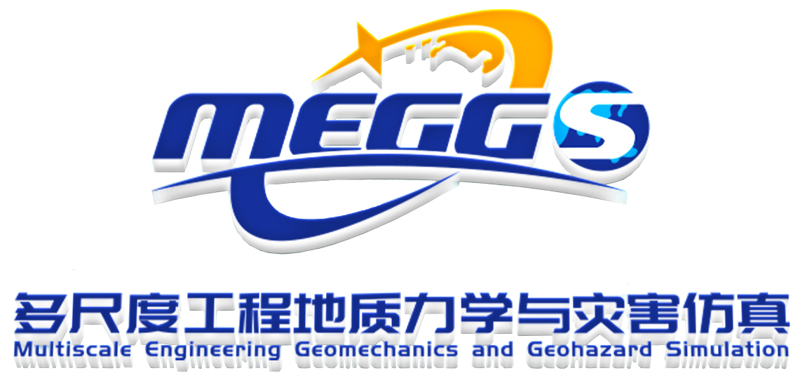 清华大学MEGGS课题组
